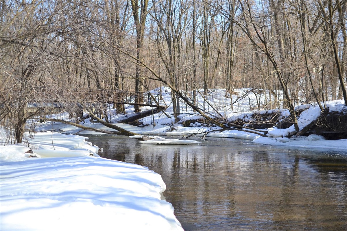 Springbrook Nature Center: Women Outdoors - City of Fridley